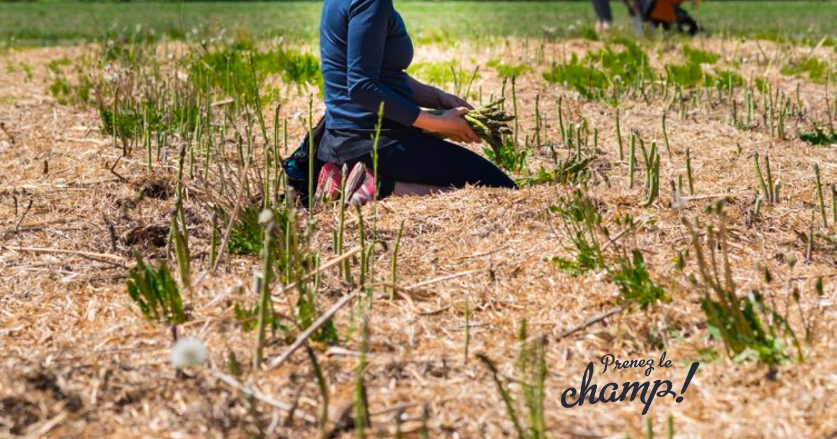Prenez le champ à la Ferme Cormier x Vincent Lévesque-Lepage du ...